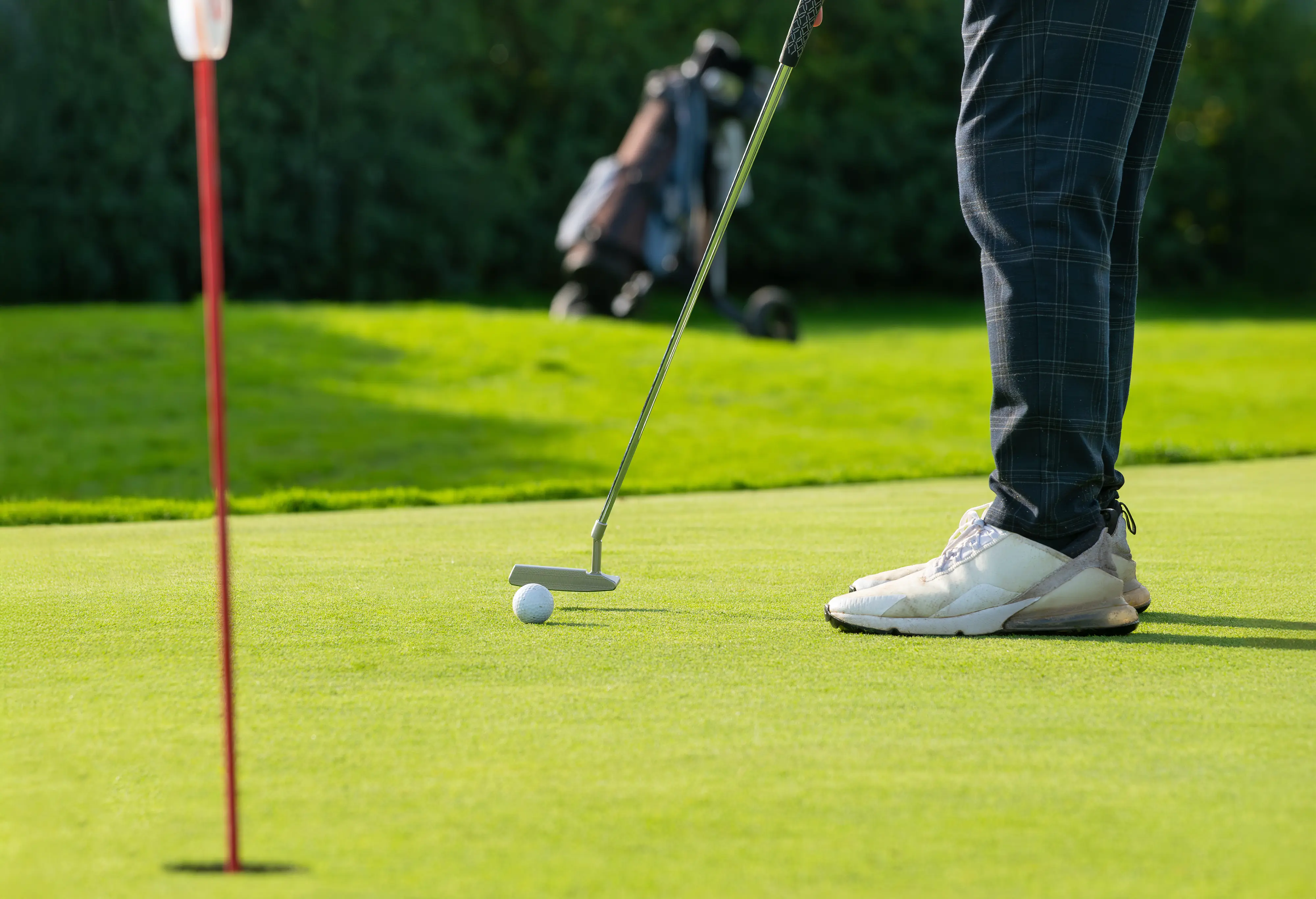 Putting Professor | Birdie Makers