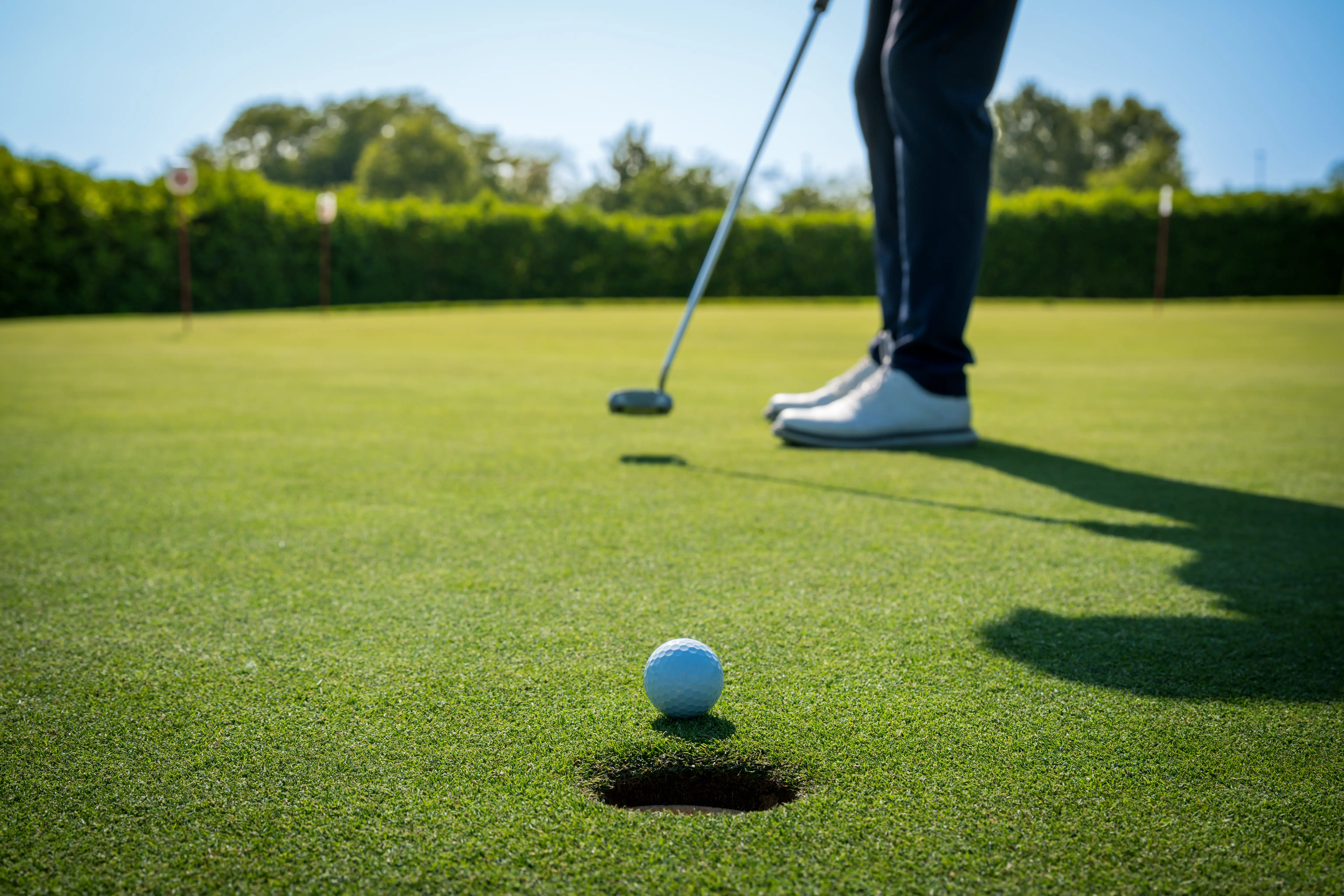 Putting Professor | Birdie Makers